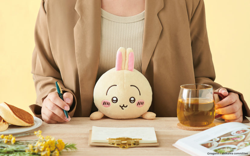Chiikawa Posture Pal Plush – zillymonkey