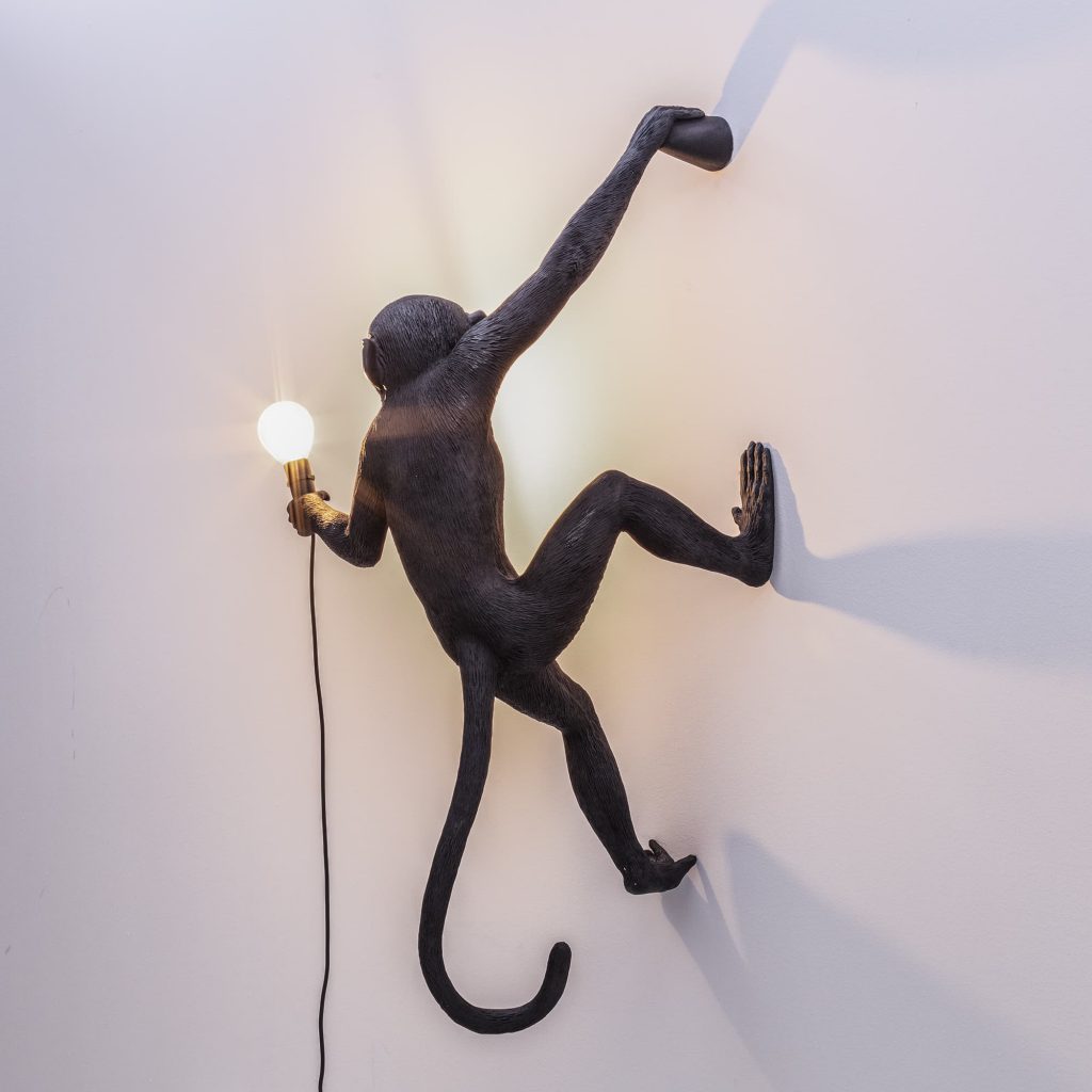 hanging monkey light