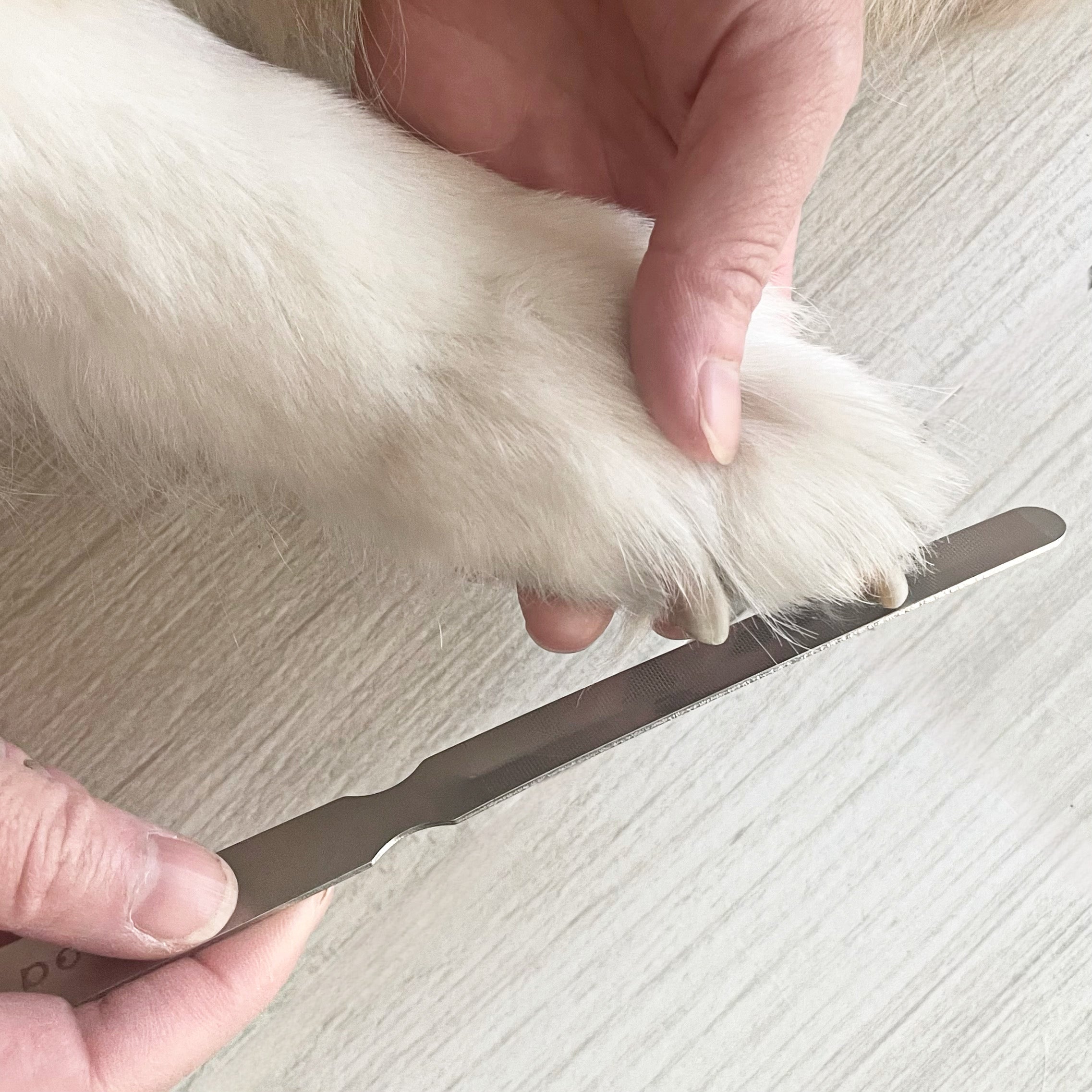 Japanese Steel Handcrafted Nail File for Dogs & Cats | zillymonkey